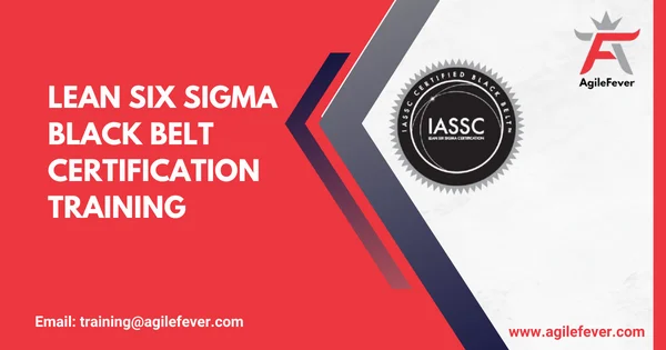 Lean Six Sigma Black Belt Training - IASSC Certified (ICBB)